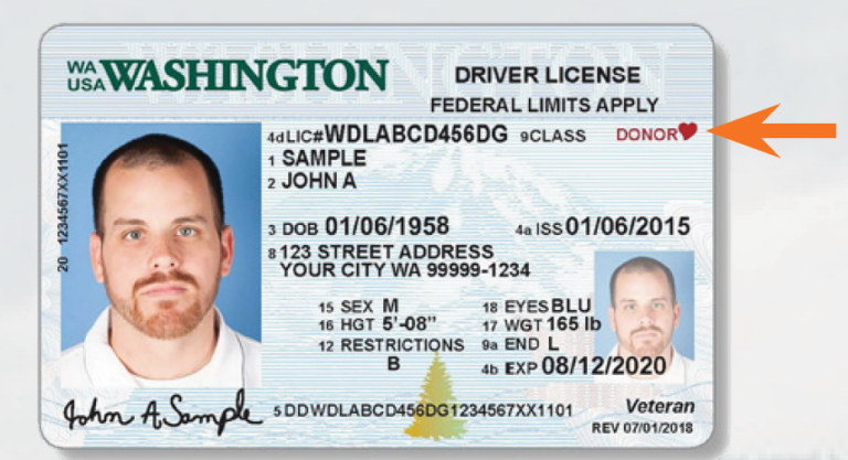 Organ, Eye, and Tissue Donation Registry Information WA - LifeCenter ...